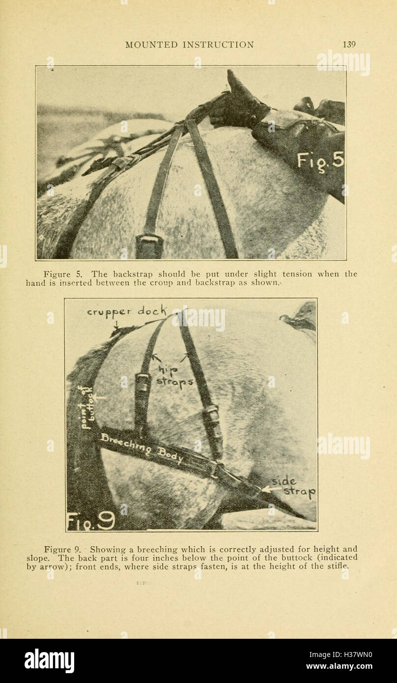 This page provides military instructions on the use of mounted units in ...