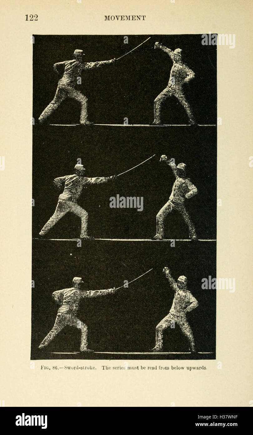 A study on movement, focusing on the principles of motion, biomechanics ...