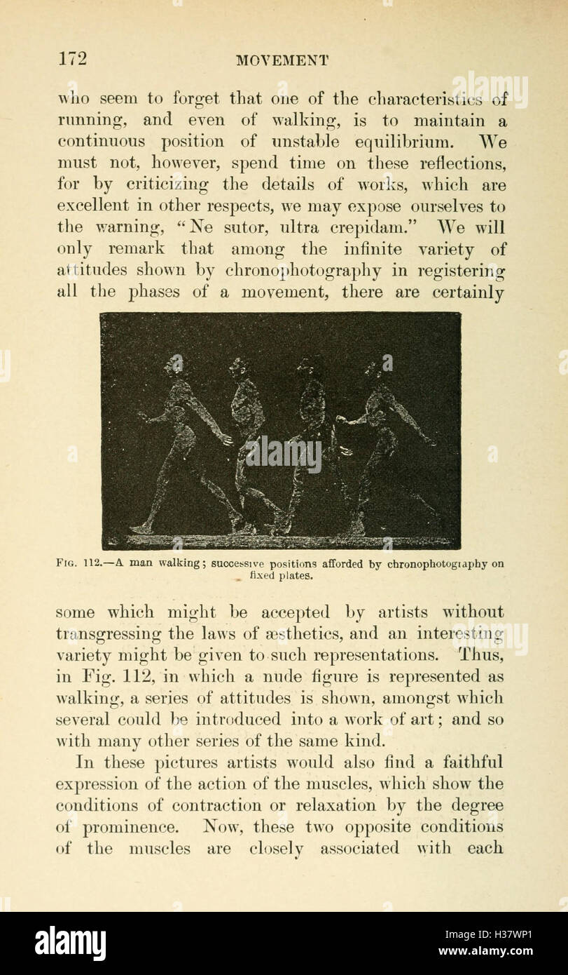 This page examines the dynamics of movement in animals, focusing on how ...