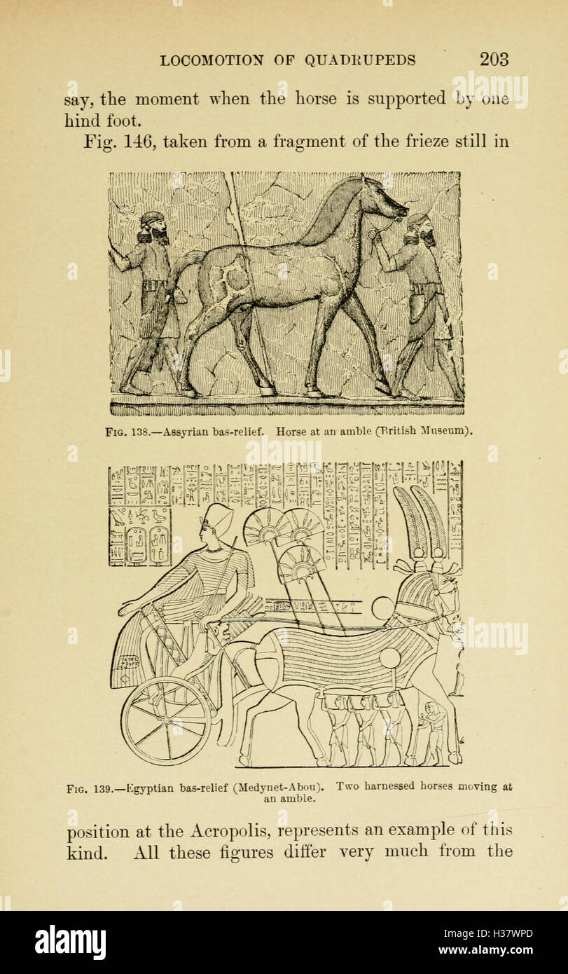 An exploration of motion and movement, examining principles of physical ...