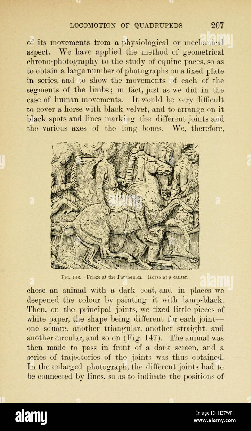 This text focuses on the concept of movement, particularly in ...