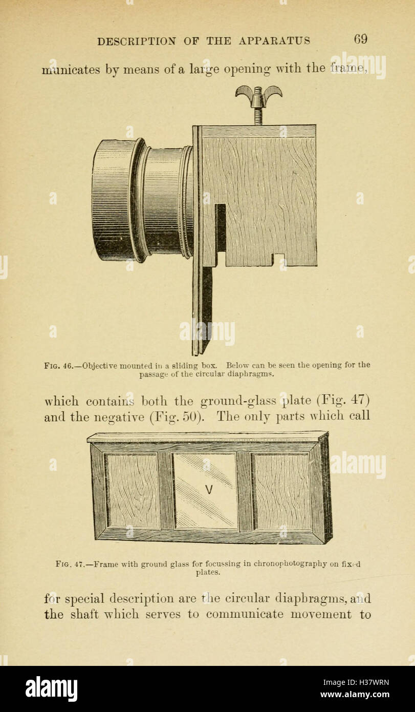 'Movement' presents a detailed study on the principles of motion ...