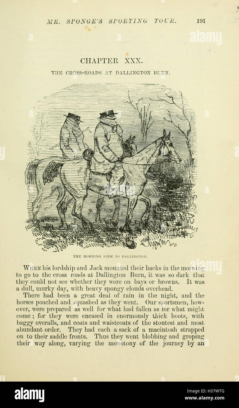 This page chronicles Mr. Sponge's journey through various sporting ...