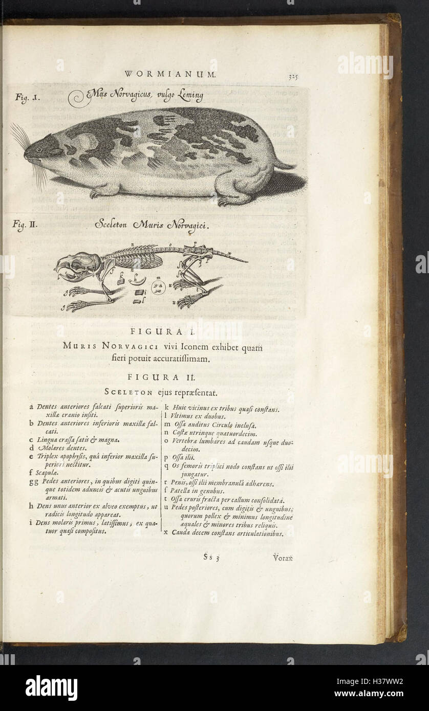 This historical work catalogues rare objects and specimens, documenting ...