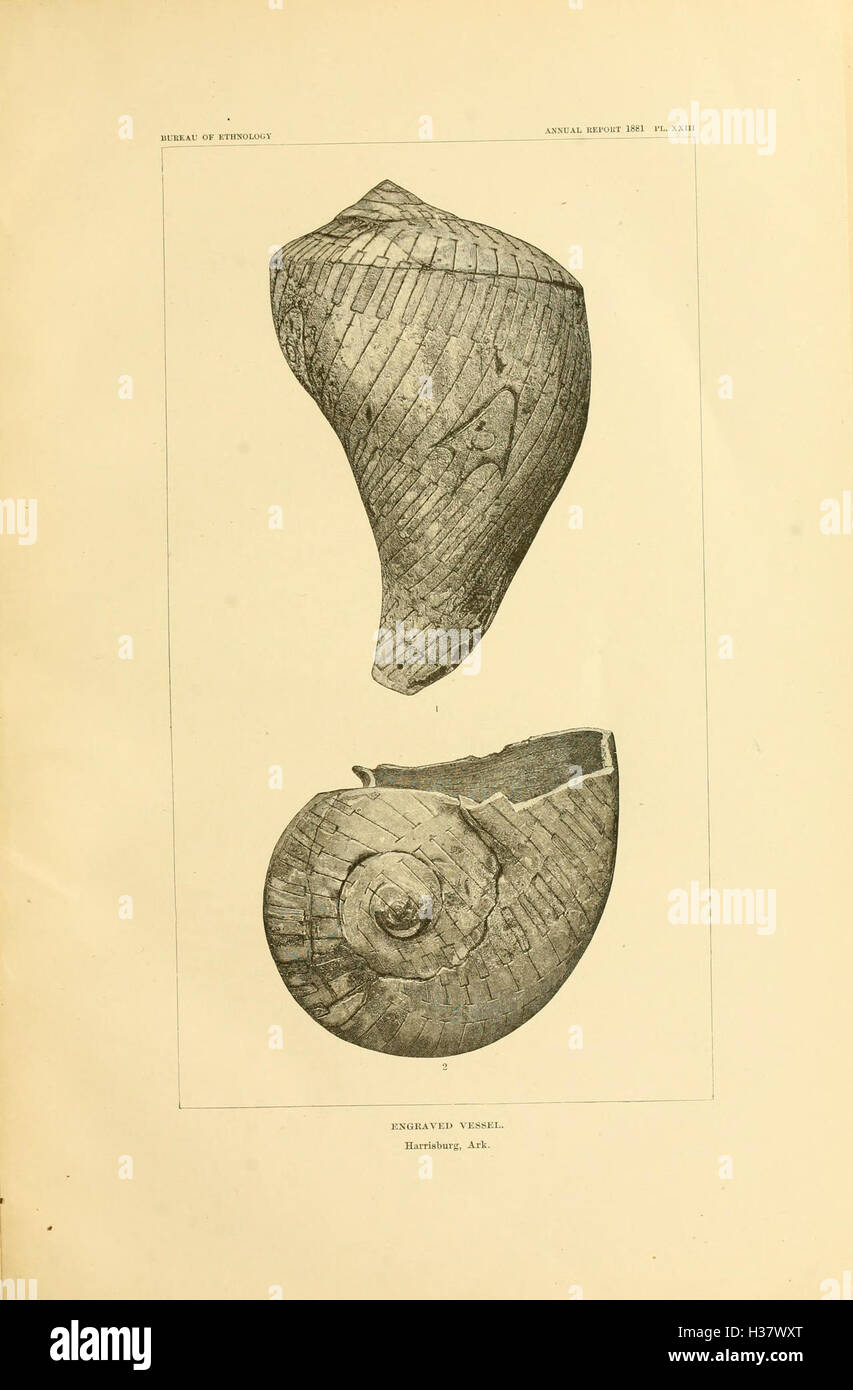 This book explores the use of shell in ancient American art, focusing ...