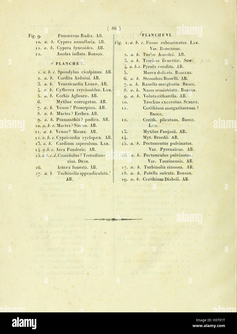 Mémoire sur les terrains de sédiment supérieurs calcaréo-trappéens du ... Mémoire sur les terrains de sédiment supérieurs calcaréo-trappéens du ...