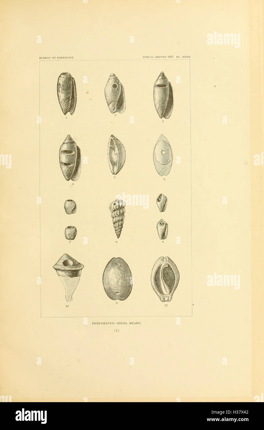 This work focuses on the intricate art of shell carving by ancient ...