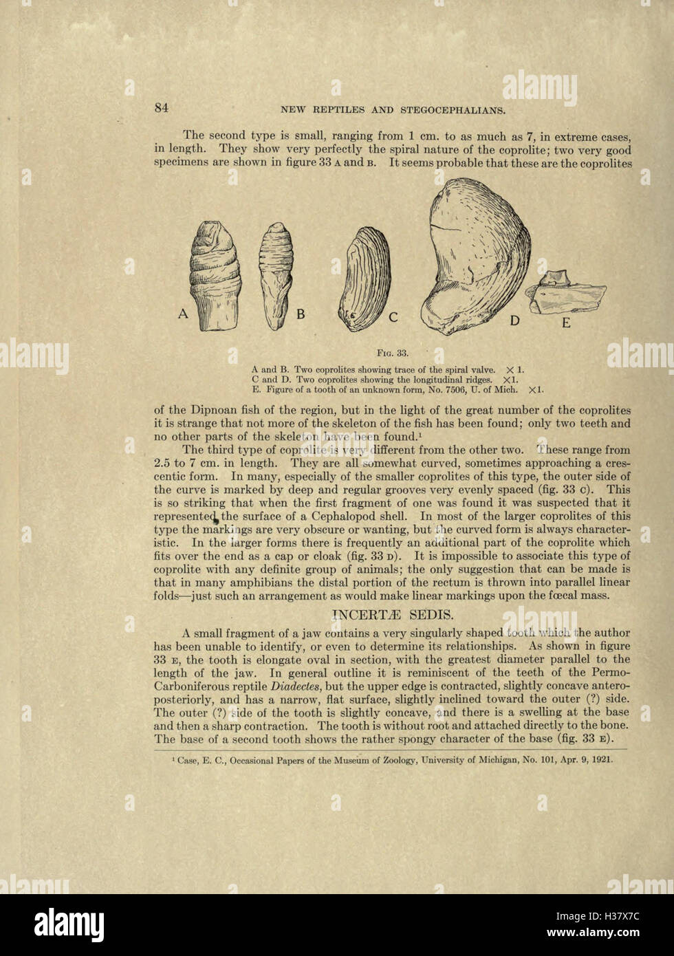 This paper describes newly discovered reptiles and stegocephalians from ...