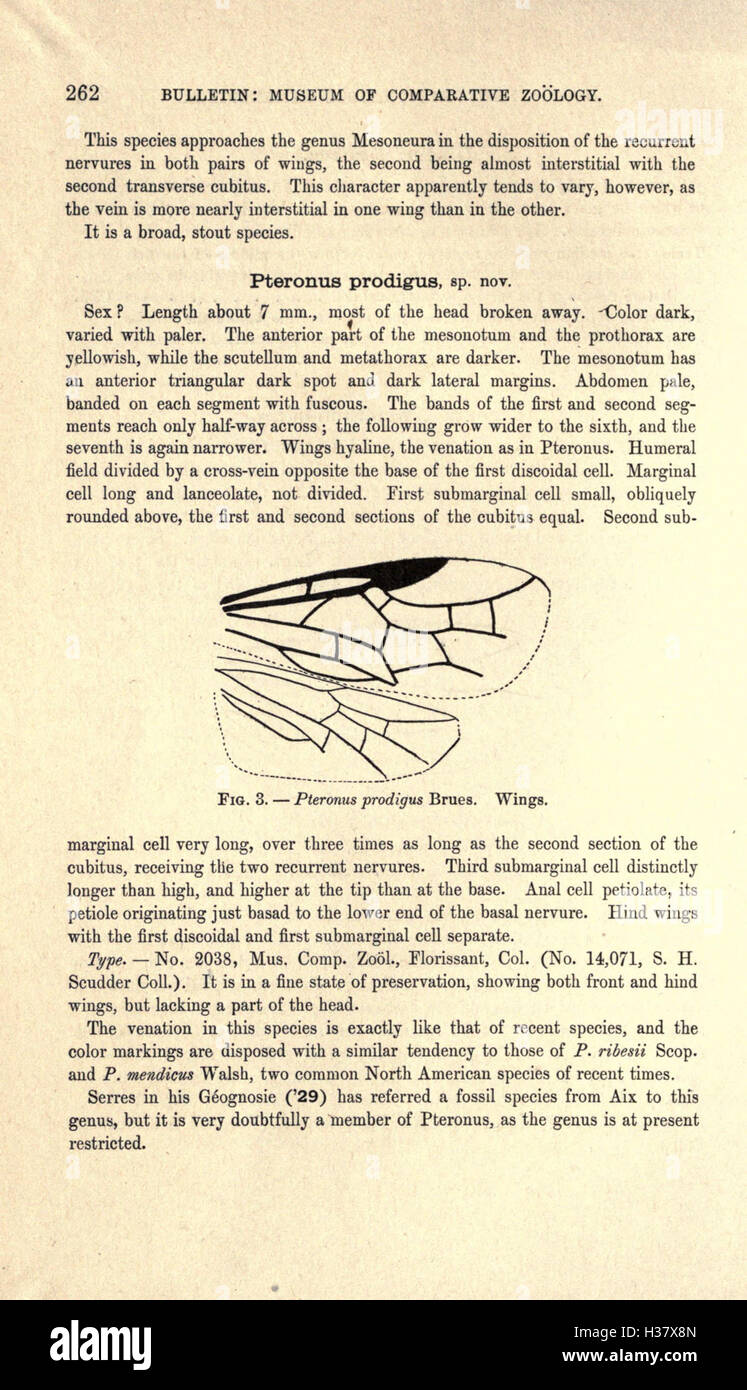 This document discusses newly discovered species of phytophagous ...