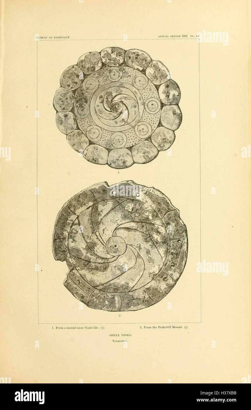 This work explores the use of shells as artistic materials by ancient ...