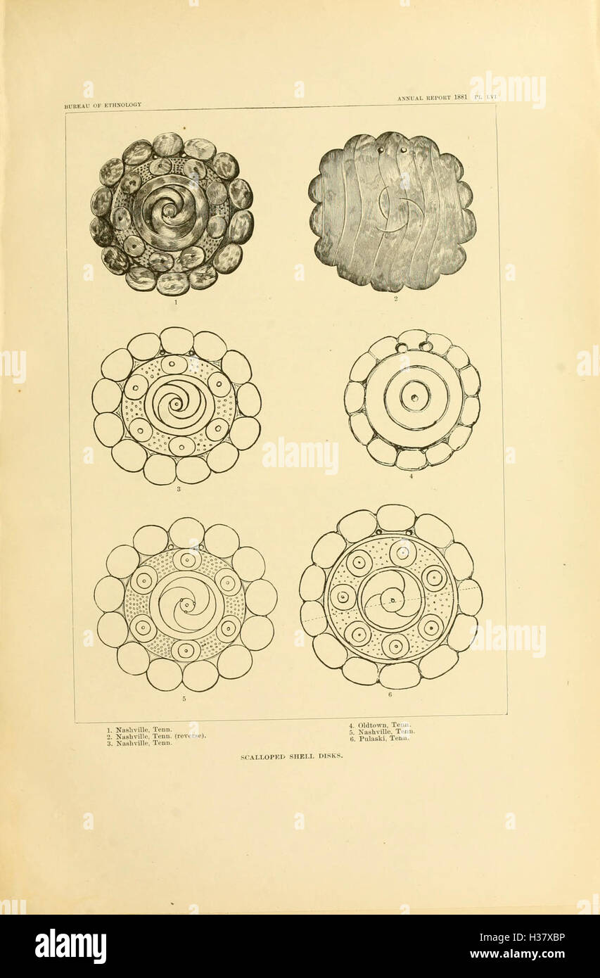 This work examines the use of shells in ancient American art, focusing ...