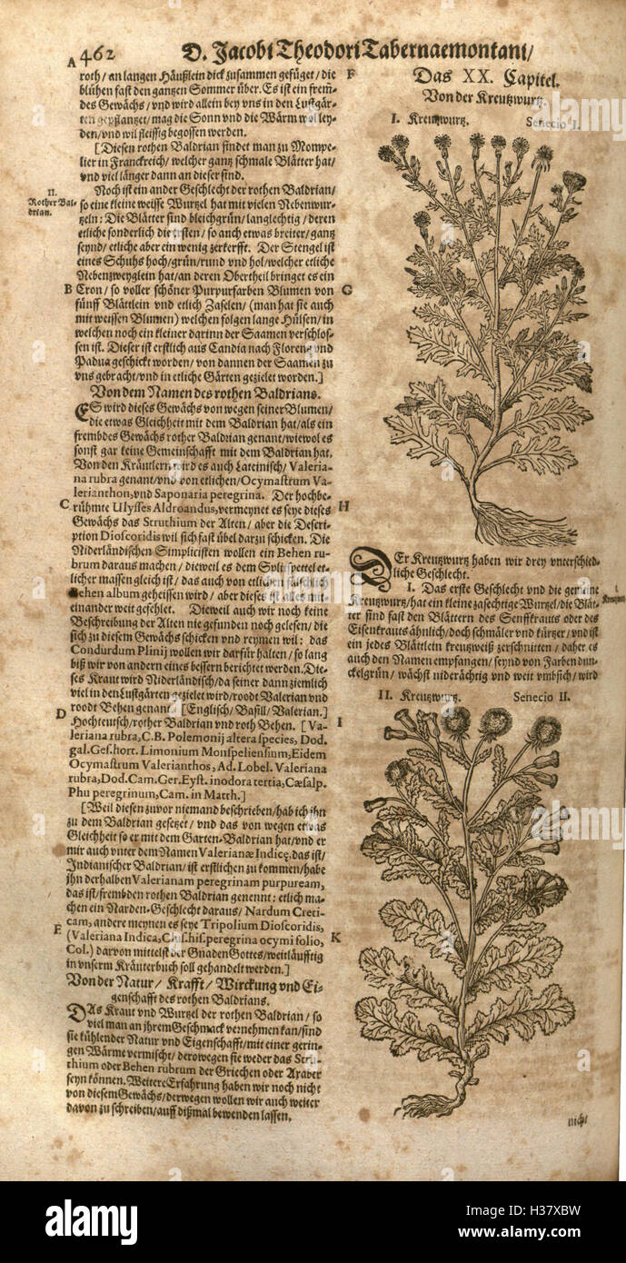 This herbal book offers a comprehensive guide to herbs, their uses ...