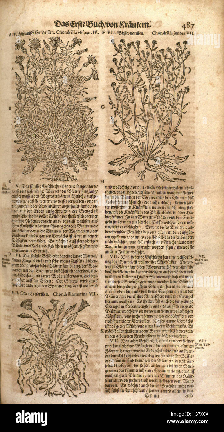 This book offers a comprehensive guide to herbs and their medicinal ...