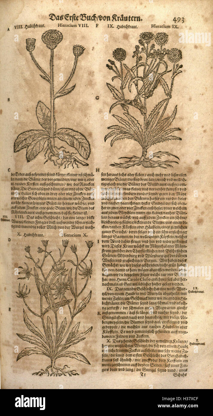 This page features a comprehensive herbal book on plants, offering ...