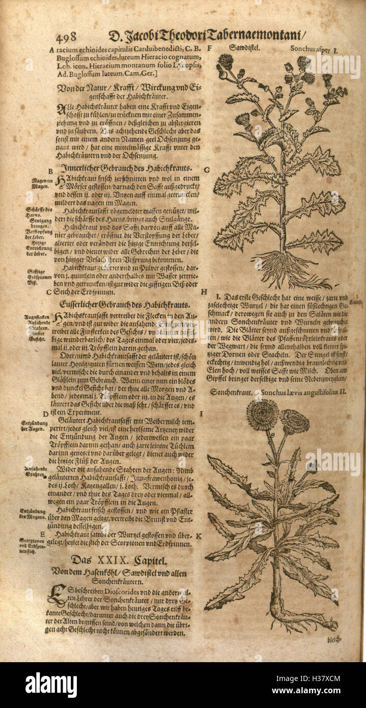 This German botanical text focuses on the identification ...