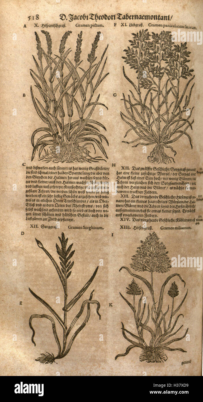 This book offers a complete guide to the identification, uses, and ...