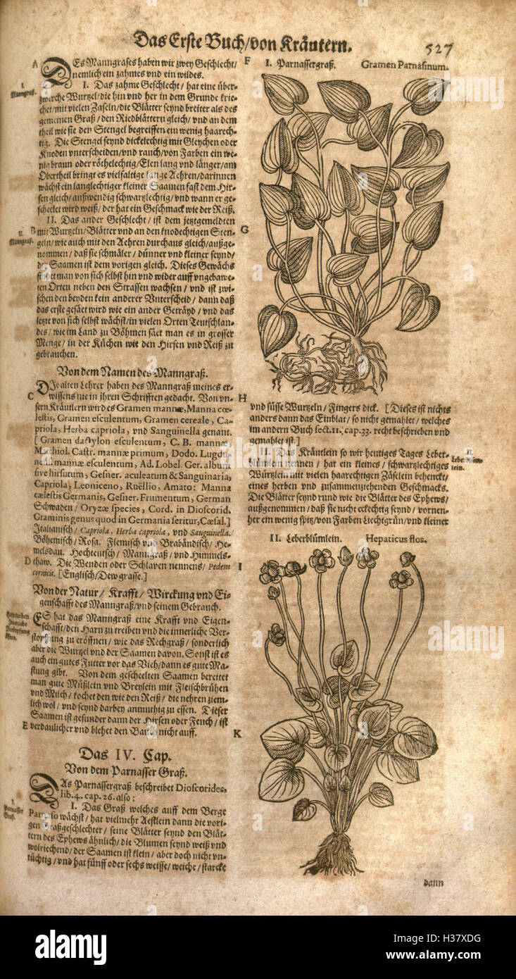 This work is a detailed herbal reference book that explores the ...