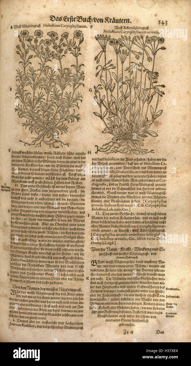 This comprehensive herbal book offers a complete guide to medicinal ...
