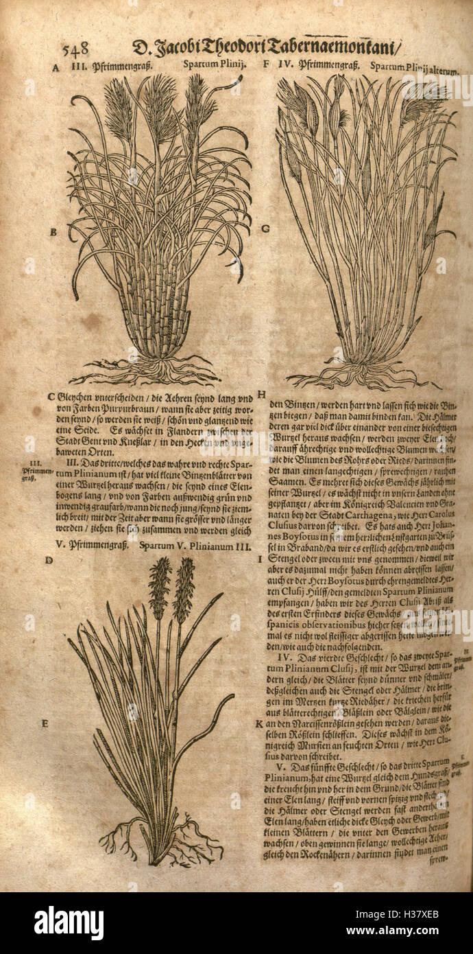 This German work focuses on herbs and their medicinal uses, detailing ...