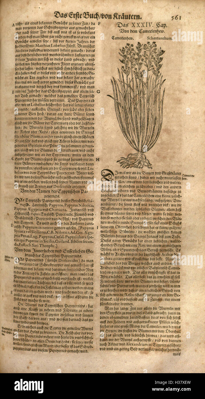 A German-language book on herbs, providing a comprehensive guide to ...