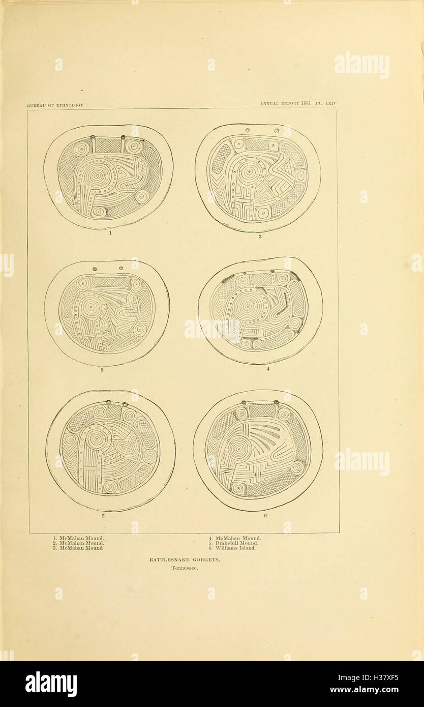 An exploration of the shell art created by ancient American cultures ...