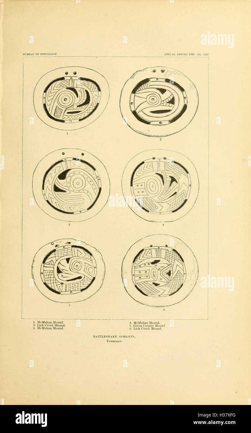 This work explores the art created using shells by ancient American ...