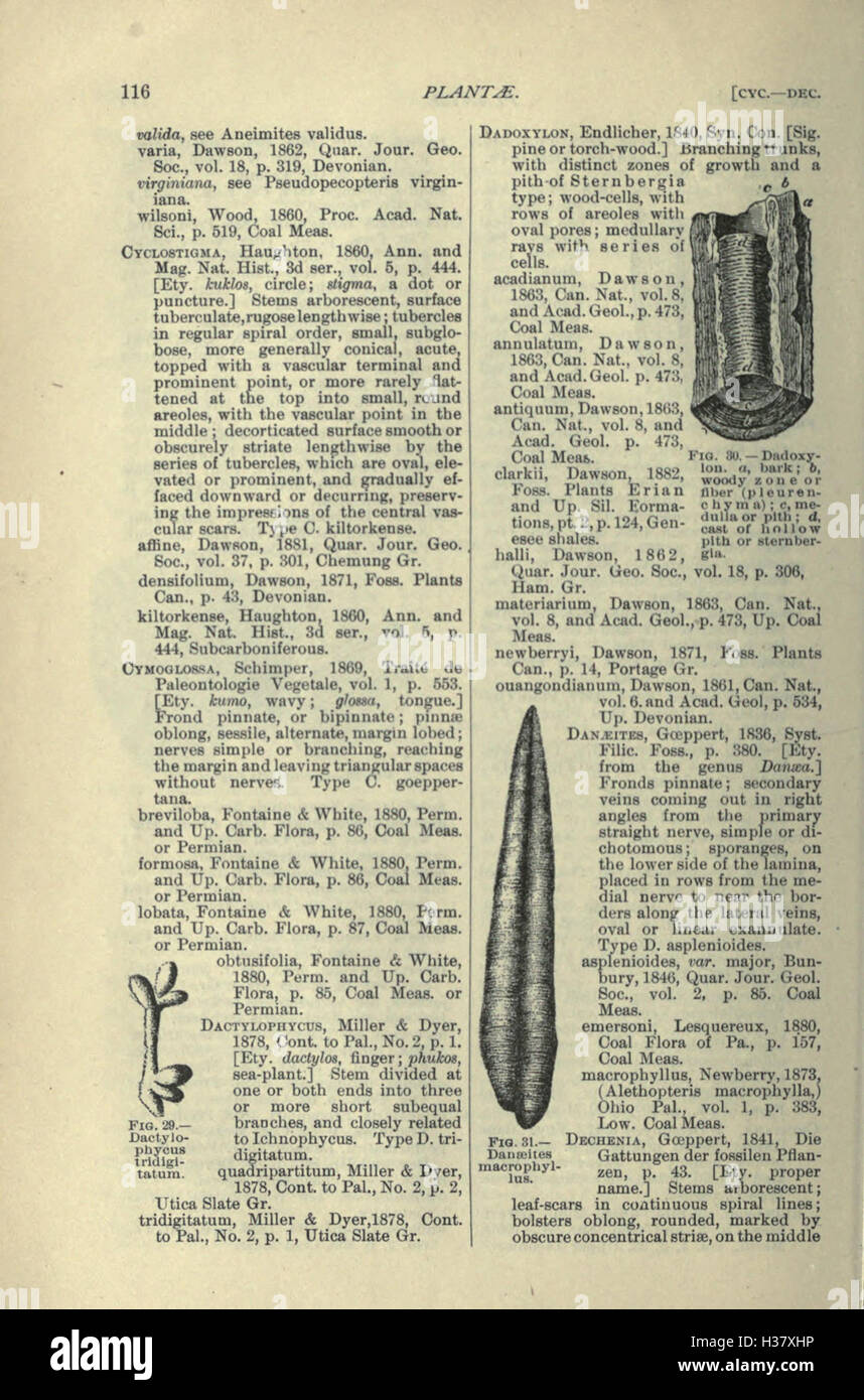 This guide provides an introduction to the geology and paleontology of ...