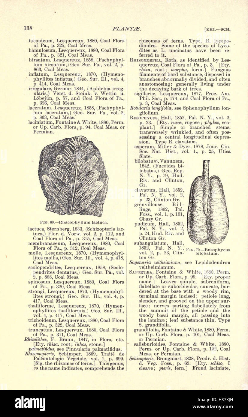 An accessible guide to North American geology and paleontology ...