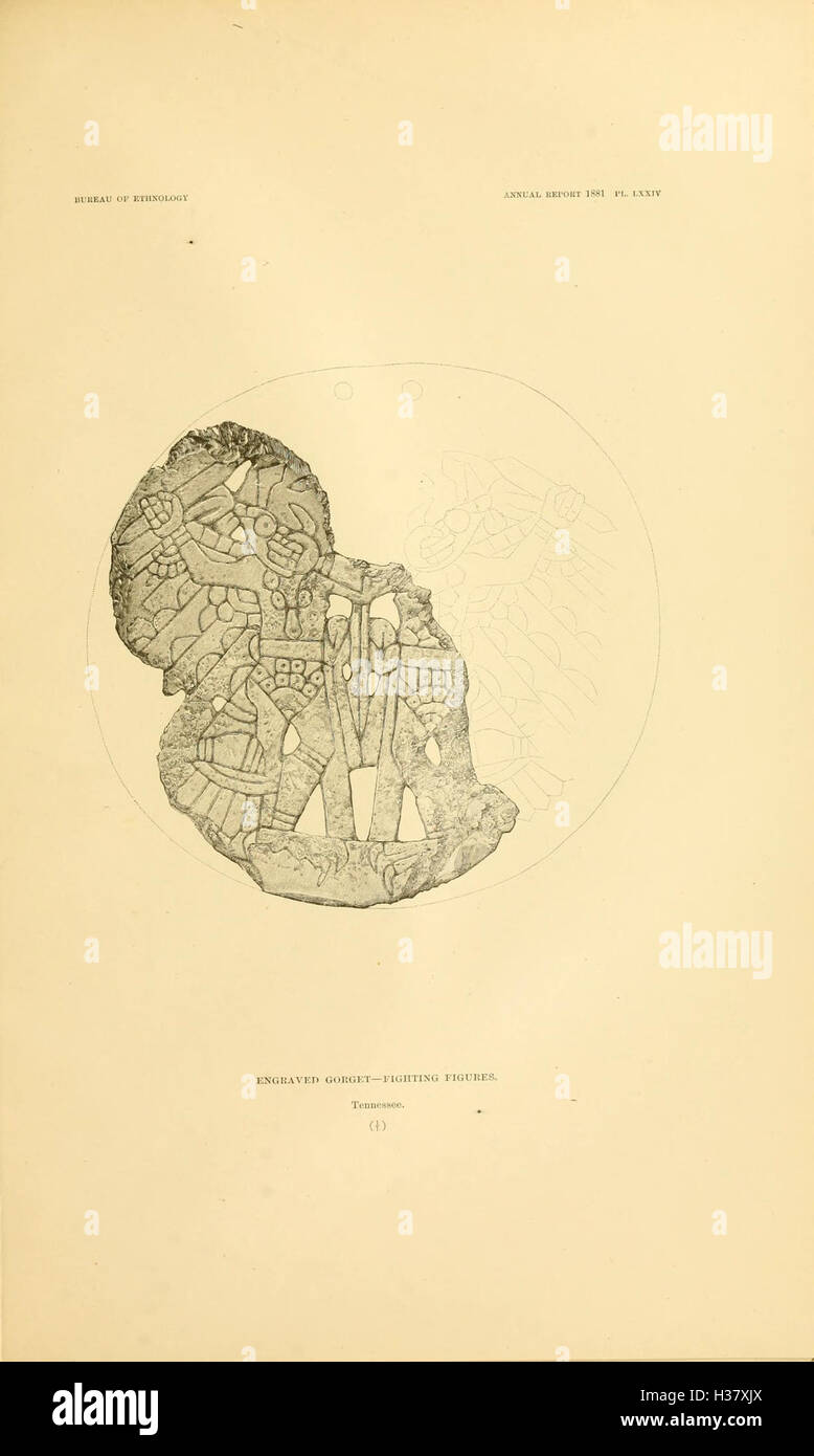 This work explores the use of shells in ancient American art, examining ...