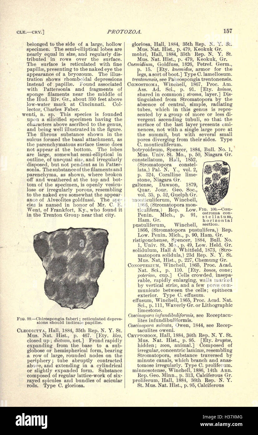 This guide provides a comprehensive overview of North American geology ...