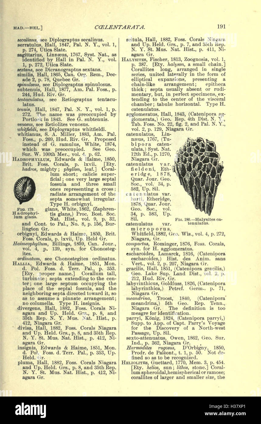 This guide offers an introduction to North American geology and ...