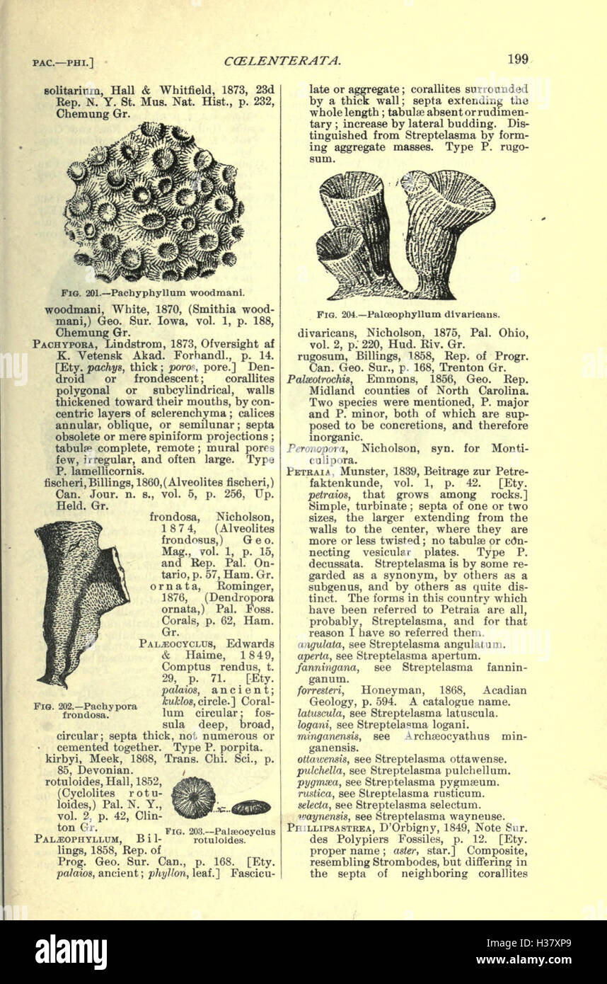 This guide offers an introduction to North American geology and ...