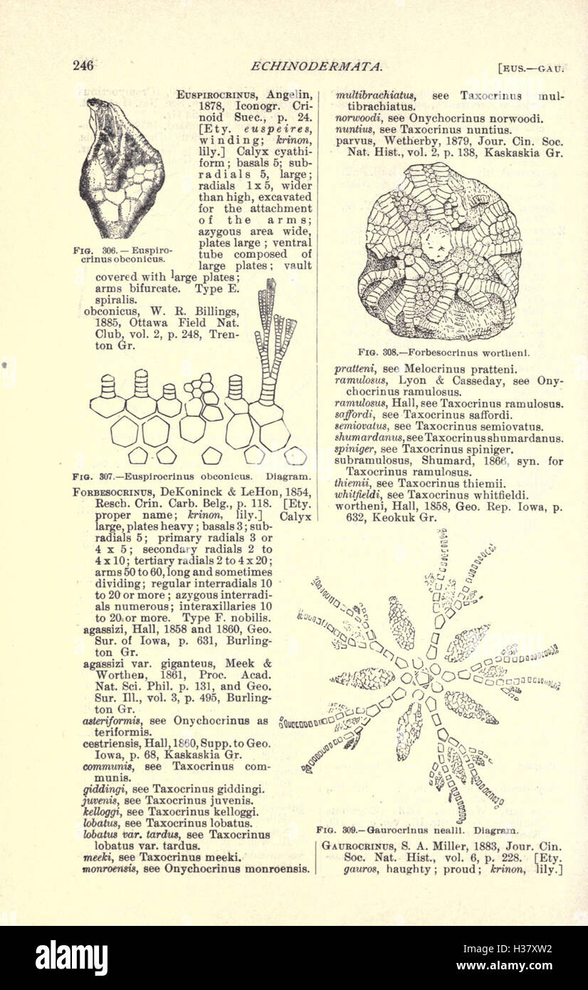 A resource for understanding North American geology and paleontology ...