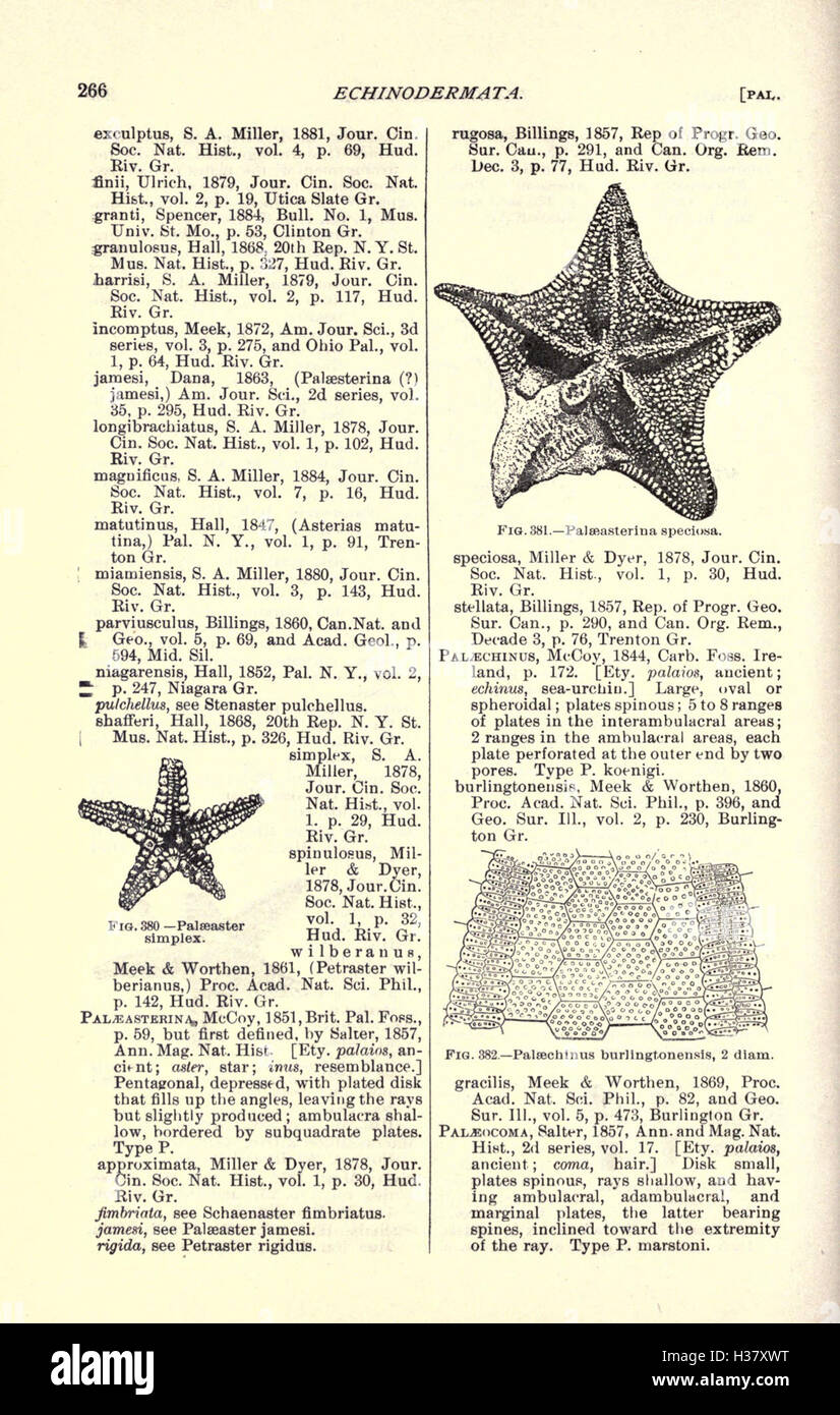 This work offers an introduction to the geology and paleontology of ...