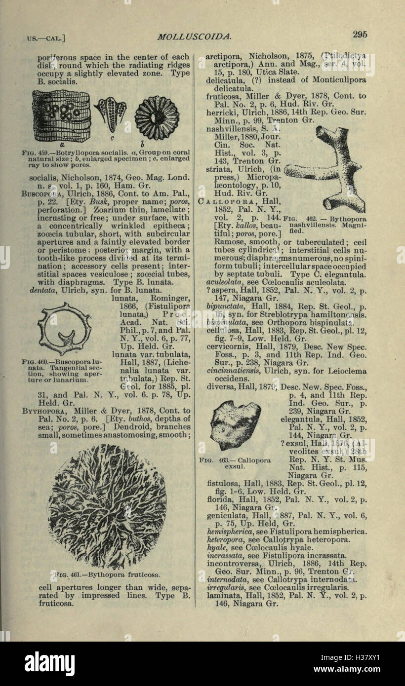 This guide offers a comprehensive overview of North American geology ...