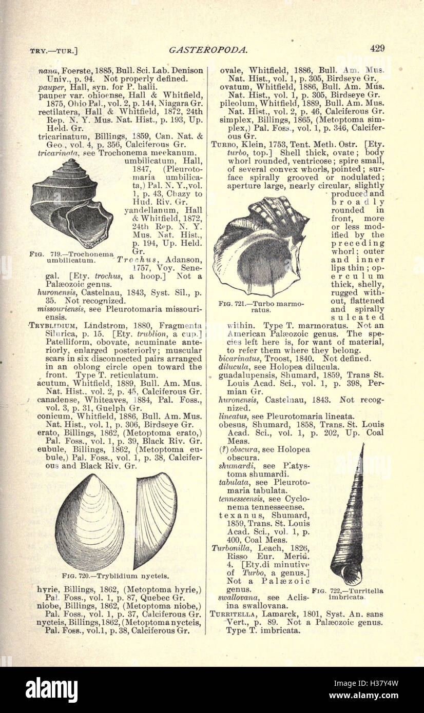 A practical guide to North American geology and paleontology, designed ...