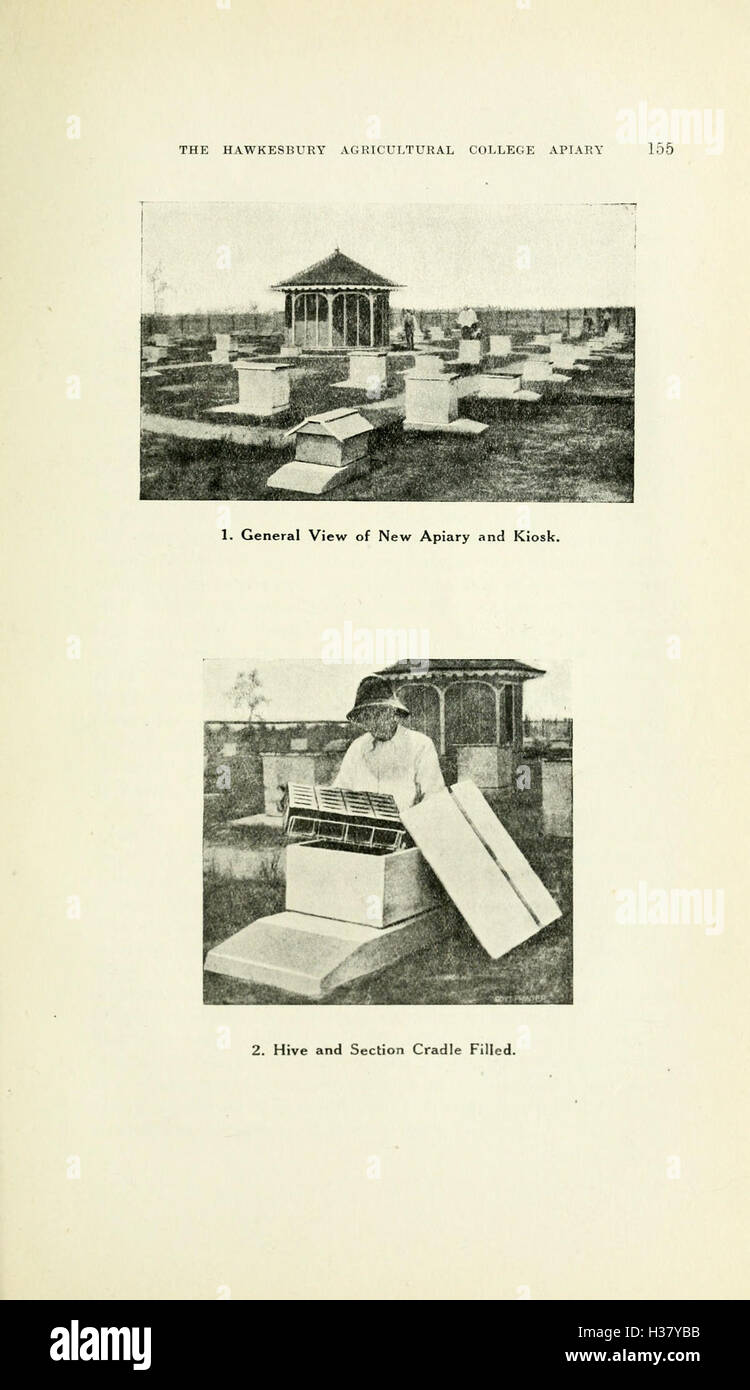 This book offers an in-depth look at Australian beekeeping practices ...