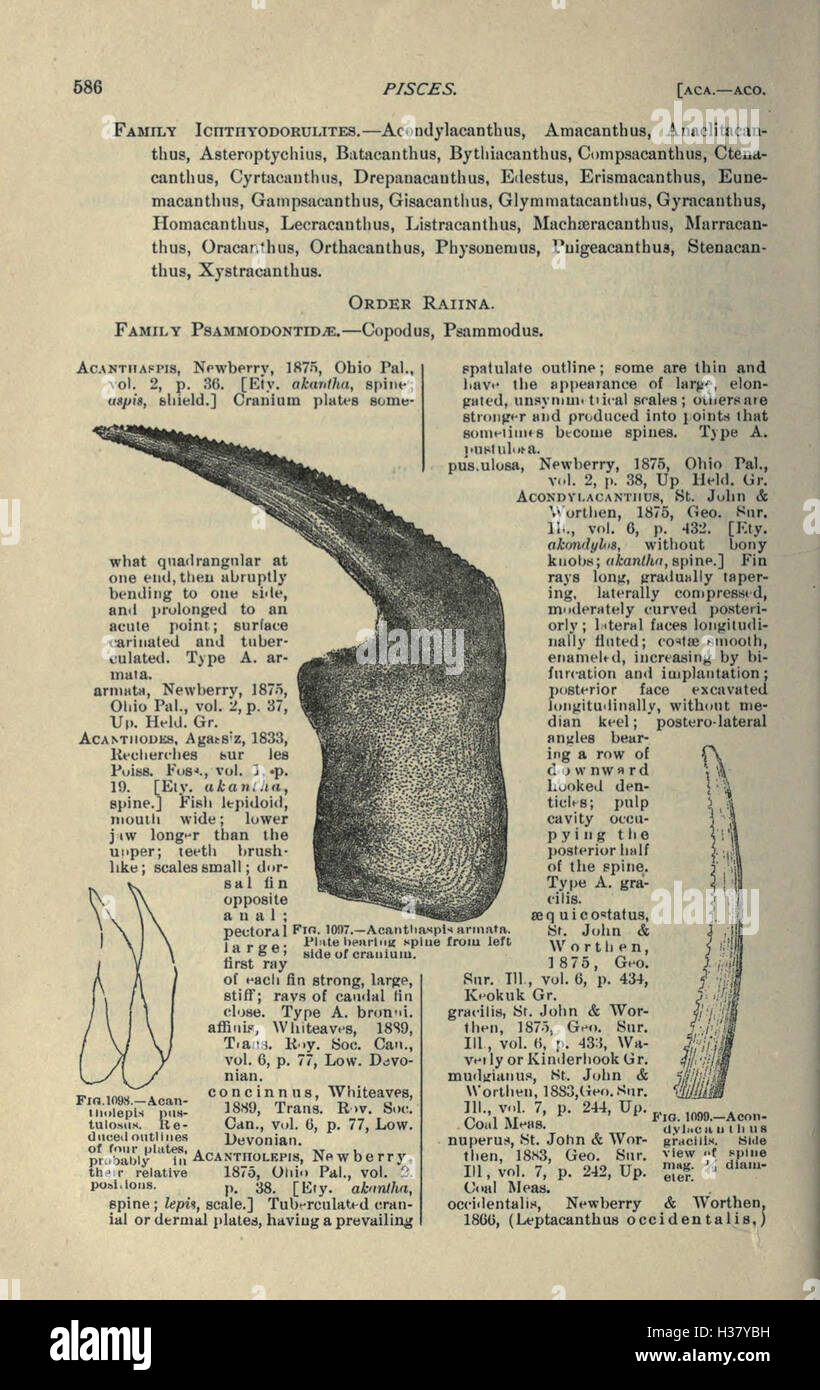 This guide offers an introduction to North American geology and ...