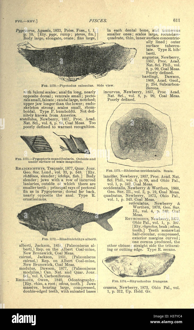 This guide offers an introduction to the geology and paleontology of ...