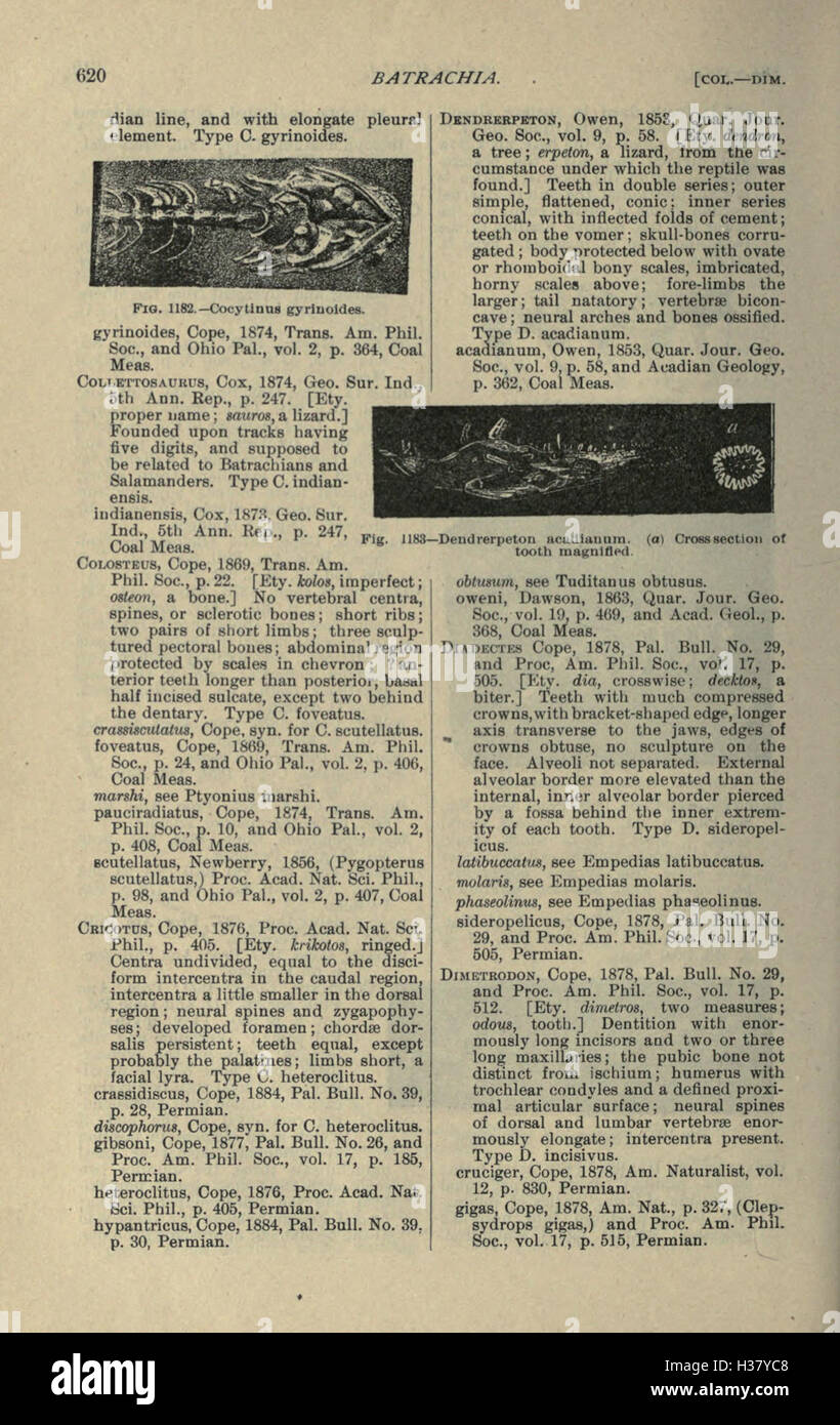 This guide offers an introduction to the geology and paleontology of ...