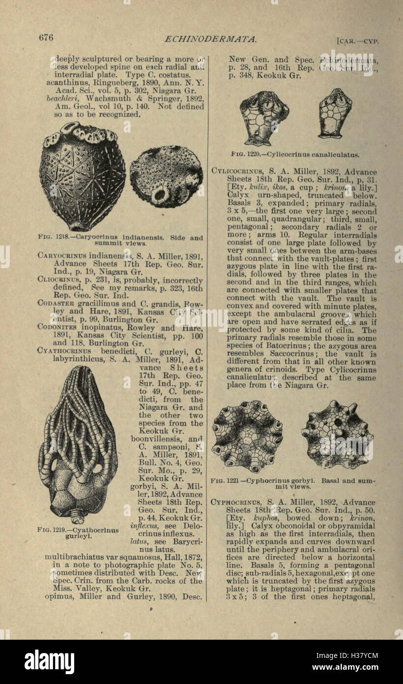 This work provides a comprehensive guide to North American geology and ...