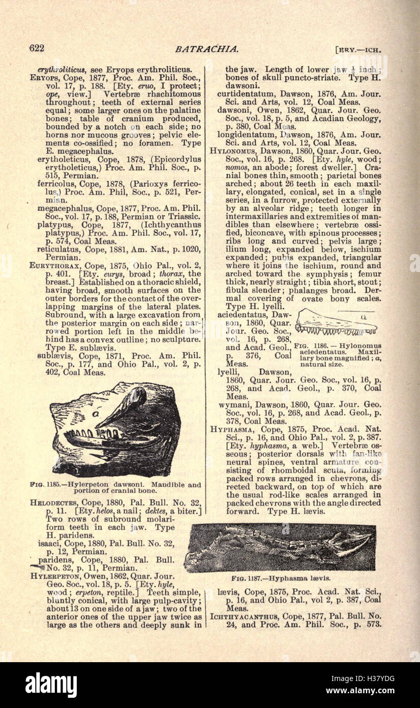 This guide offers an introduction to the geology and paleontology of ...