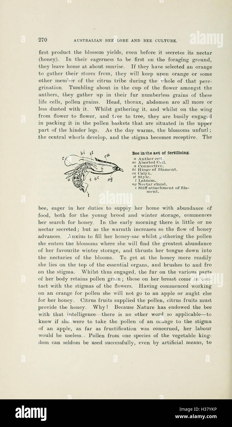 This work examines the traditions, methods, and significance of ...