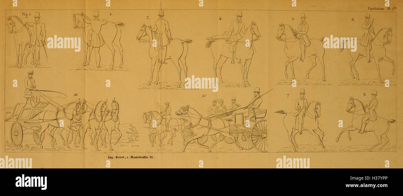 This comprehensive horsemanship manual provides guidance for both men ...