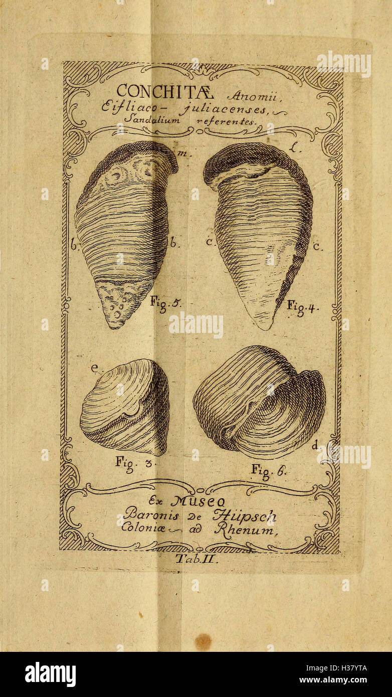This French work presents new discoveries of rare and unknown ...