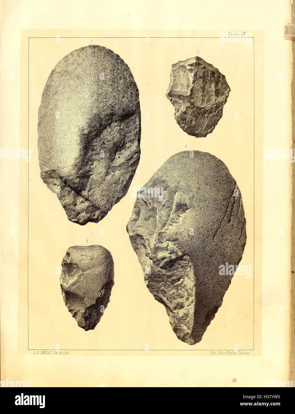 Quaternary period human hi-res stock photography and images - Alamy
