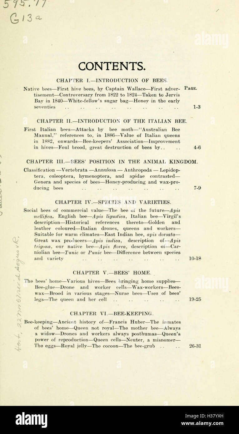 Australian bee hi-res stock photography and images - Alamy