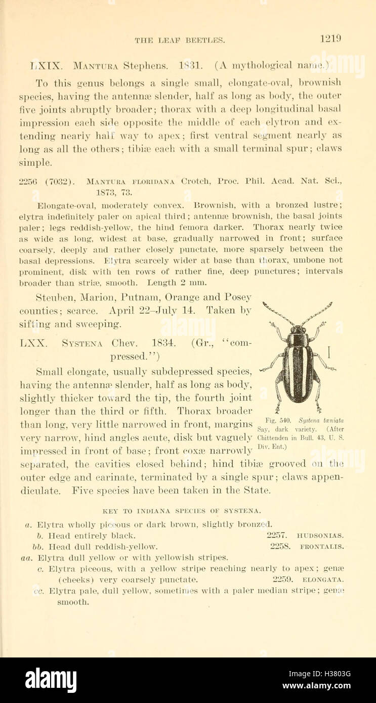 This work provides a detailed study of the Coleoptera (beetles) found ...