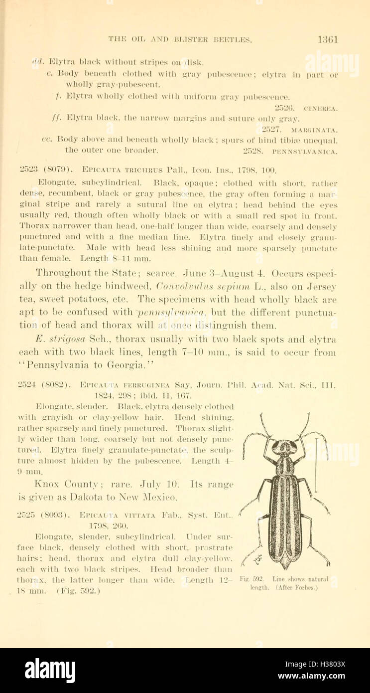 This study details the species of Coleoptera found in Indiana, focusing ...