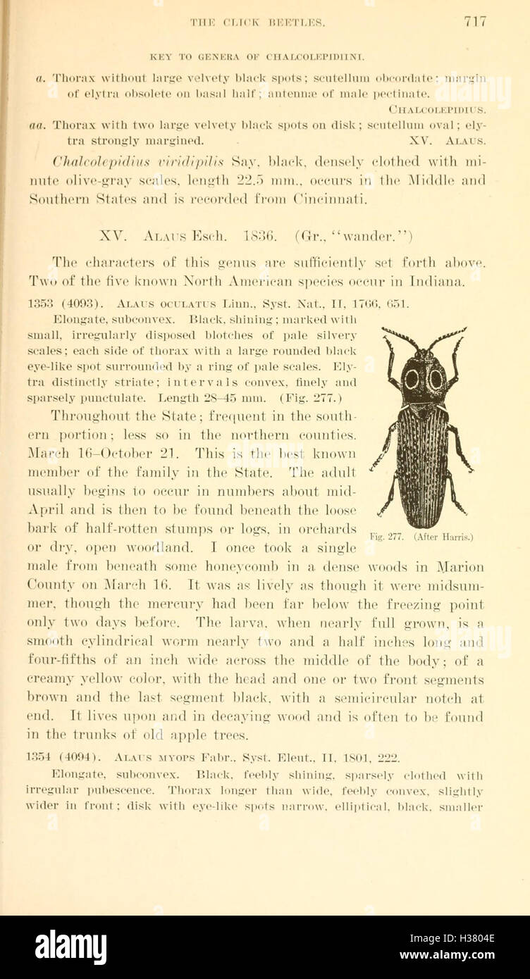 This research details the beetle species found in Indiana, focusing on ...
